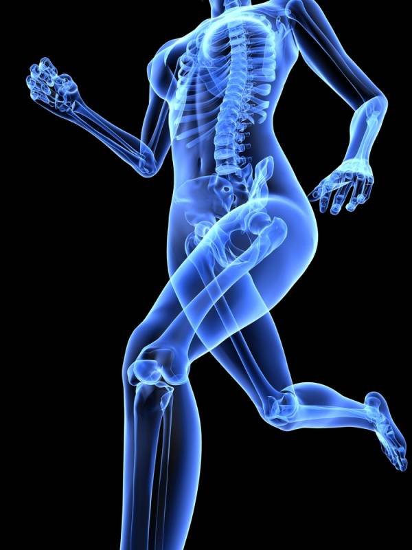 Good News For Women's Bones: Exercise Increases IGF-1, Decreases ...
