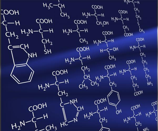 2 Acronyms Every Athlete Should Know: IF and BCAAs - Breaking Muscle