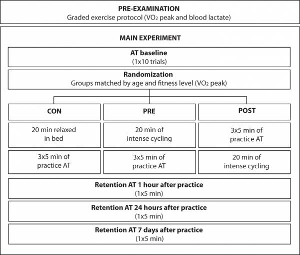 Exercise Aids in Retention of New Motor Skills - Breaking Muscle