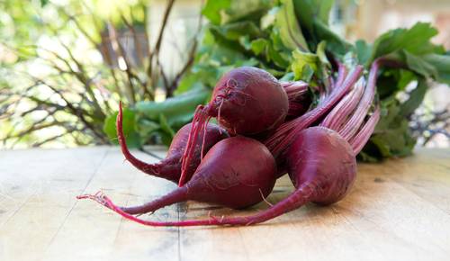 Betaine Found Effective for Body Composition and Performance - Breaking ...