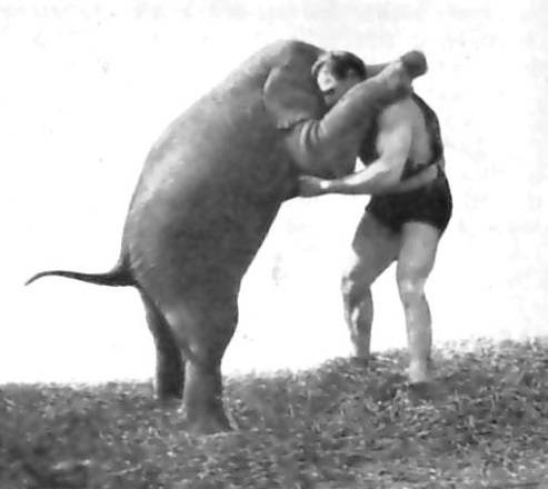 Strongman Profile: Hermann Goerner Teaches Us the Deadlift (and ...