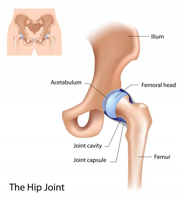 It’s All in the Hips: Hip Care 101 for BJJ Practitioners - Breaking Muscle It’s All in the Hips: Hip Care 101 for BJJ Practitioners - Breaking Muscle