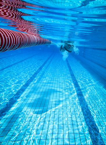 Frogman Workouts: Cycle 4, Week 12, Day 2 - Breaking Muscle