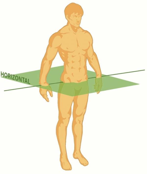Slowenien Zustand Gentleman Freundlich Transverse Plane B ndeln Slowenien Zustand Gentleman Freundlich Transverse Plane B ndeln