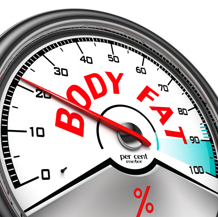 Does Being Fatter Help You to Lift More? - Breaking Muscle