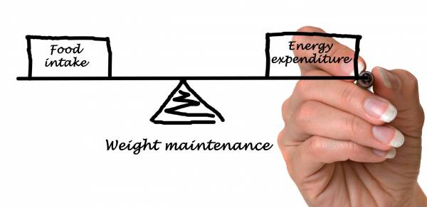 Science Finds The Best Way To Calculate Resting Energy Expenditure Science Finds The Best Way To Calculate Resting Energy Expenditure