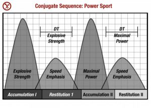 A Simple Guide to Periodization for Strength Training - Breaking Muscle