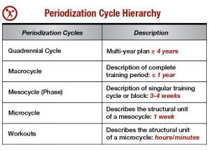 A Simple Guide to Periodization for Strength Training - Breaking Muscle