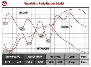 A Simple Guide to Periodization for Strength Training - Breaking Muscle