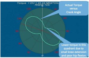 Adjust Your Crank Length for Stronger Cycling - Breaking Muscle