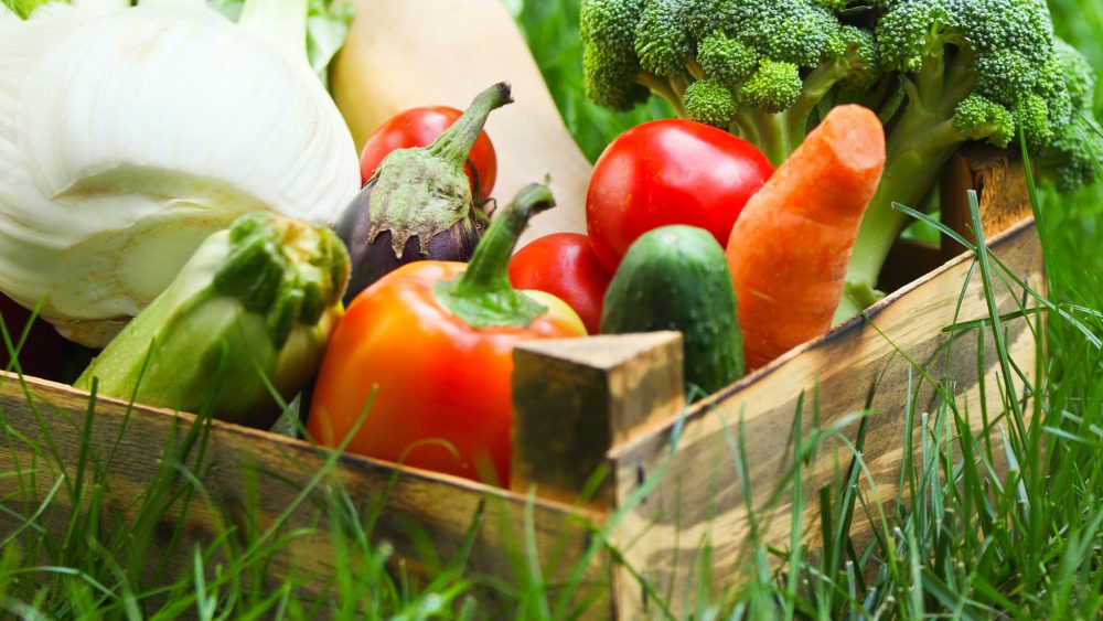 Does Organic Really Matter? How to Rank Nutritional Priorities ...