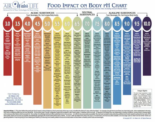 Alkaline Acid Food Chart