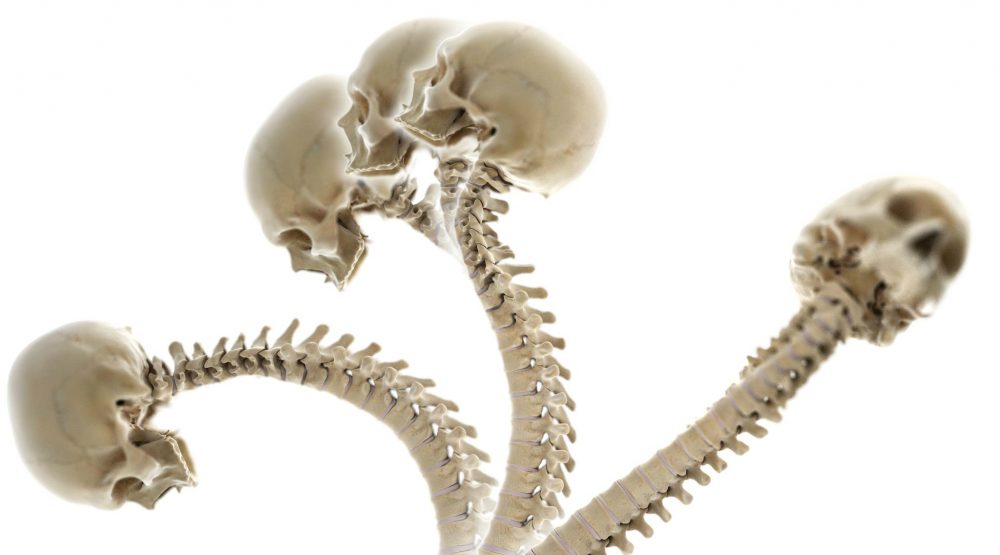 Mid-Back Mobility: Strength With a Twist - Breaking Muscle