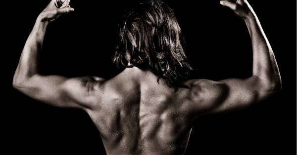 7 Exercises to a Bulletproof Back - Breaking Muscle