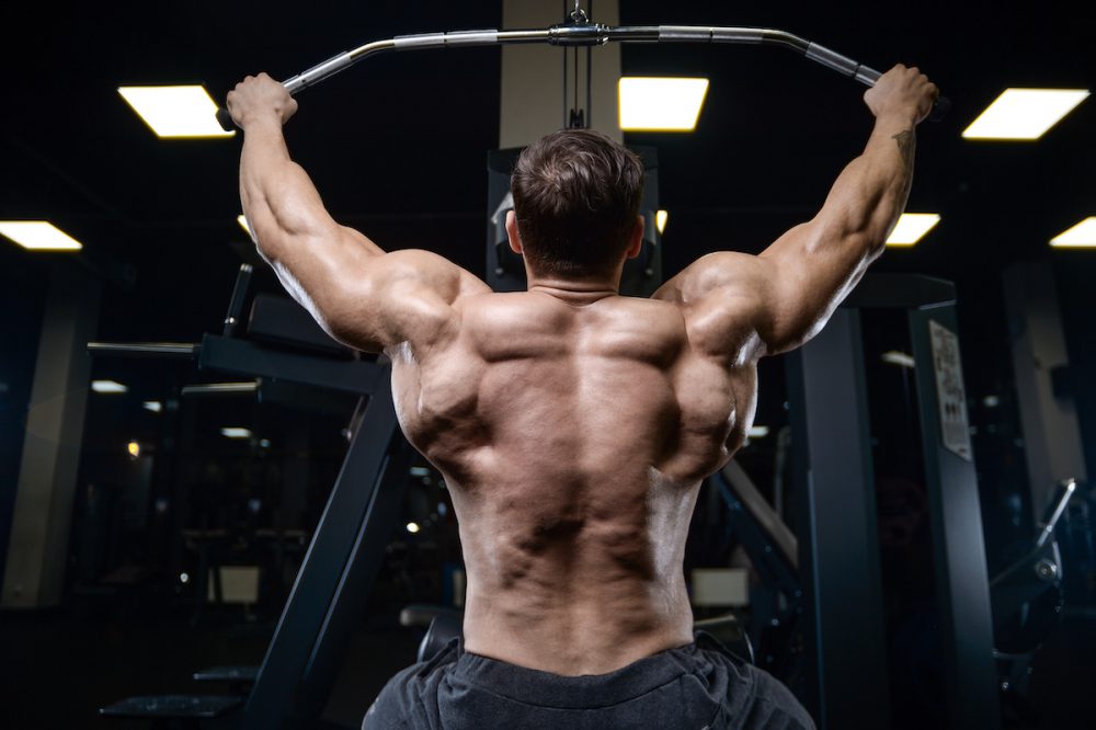 Does Protein Distribution Effect Muscle Mass? - Breaking Muscle