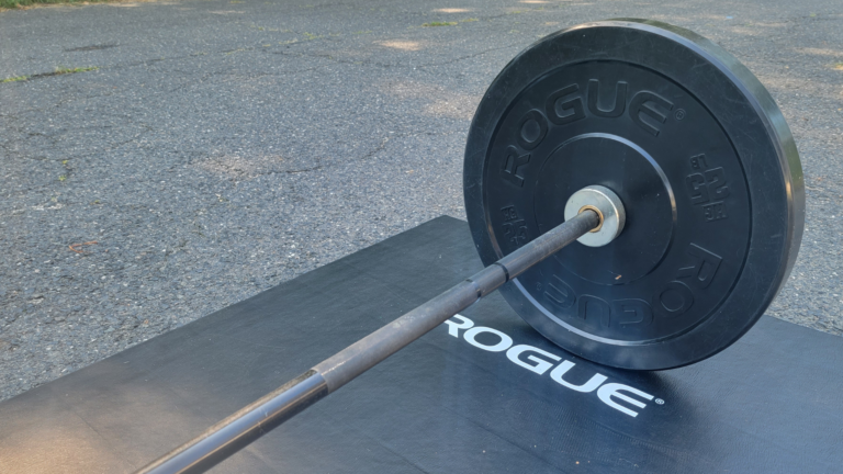 The 8 Best Barbells To Buy in 2023 | Breaking Muscle